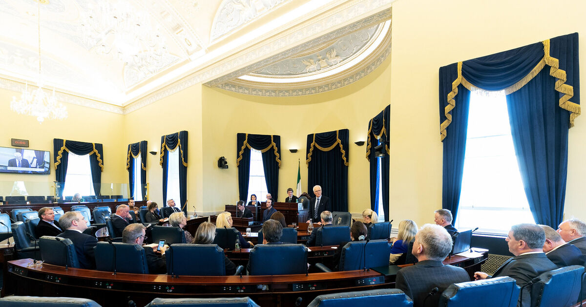 Seanad centenary commemorates 'place for reasoned debate'
