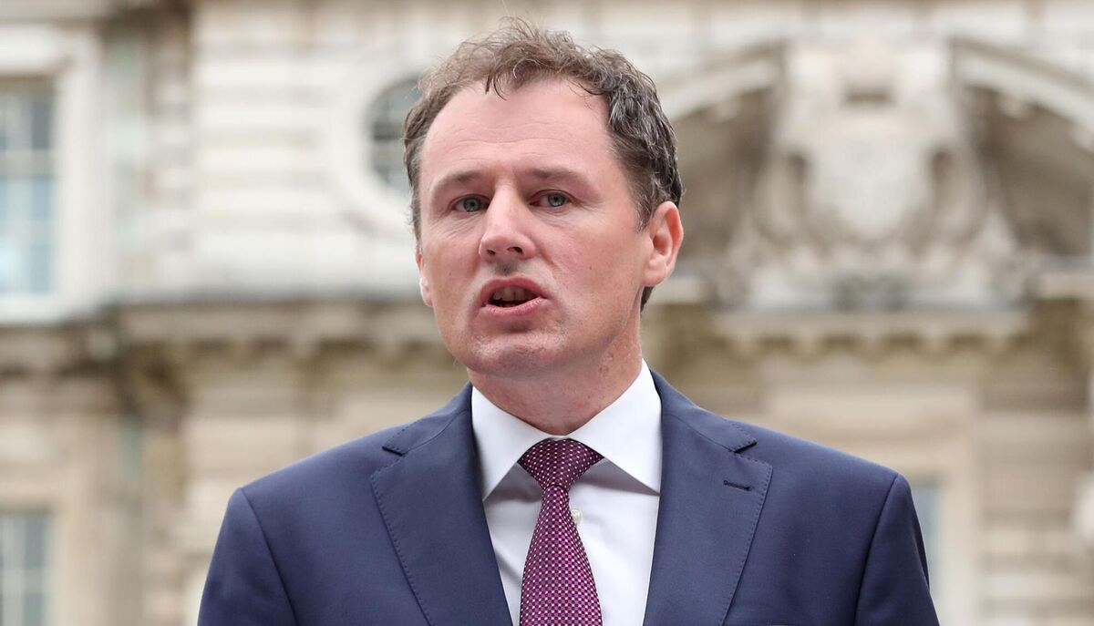 'Dead lambs everywhere': Farmer on horrific dog attack that claimed 50 ...