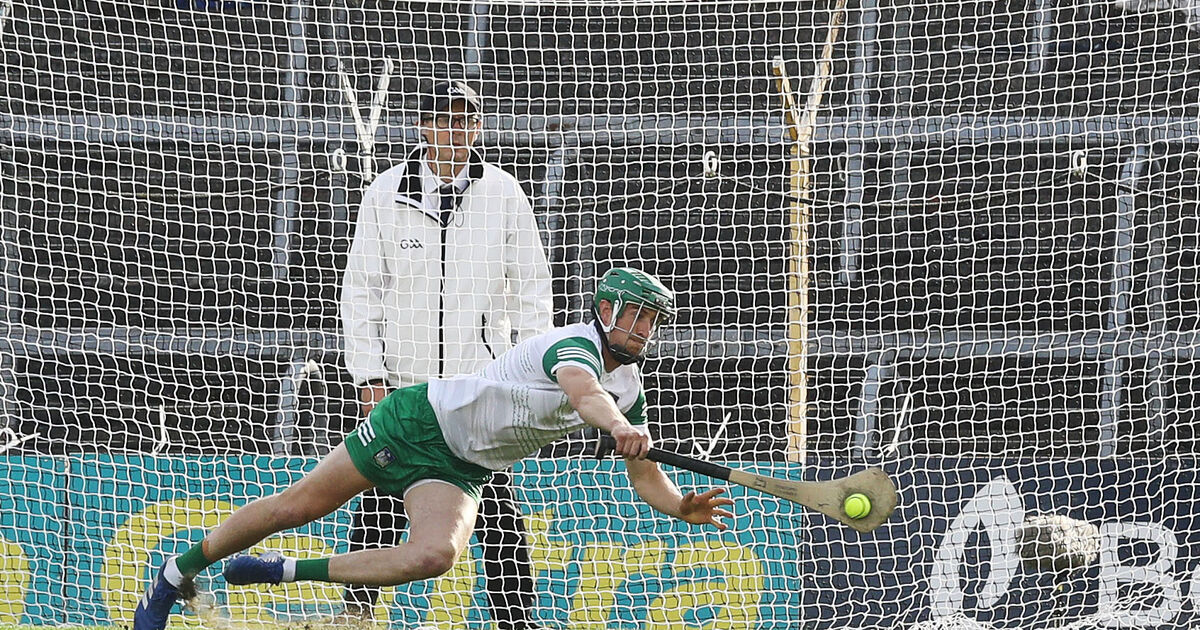 Limerick can get even better, believes Nickie Quaid