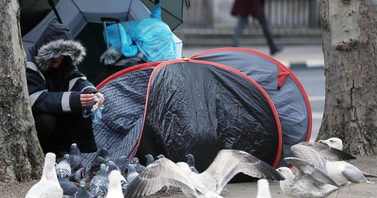 Group co-ordinating Cork homeless services have not met for a year