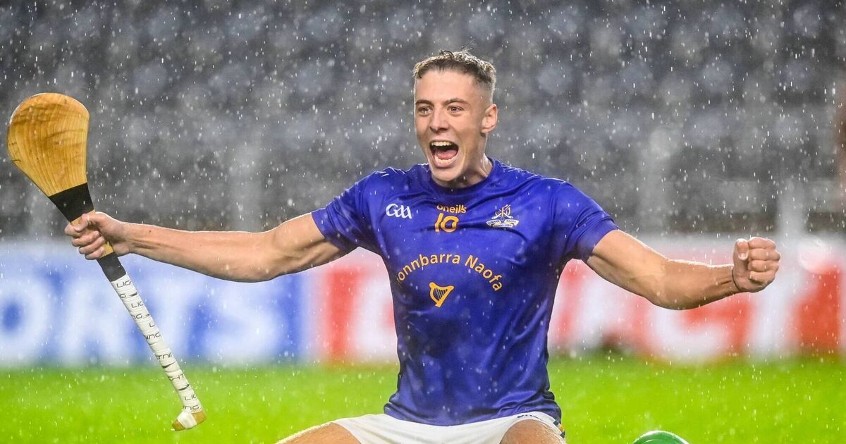 Barrs' history boys dominate Cork hurling team of the year