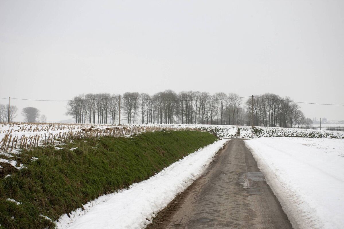 'No shelling or sniping heard': Commemorating The Christmas Truce of 1914