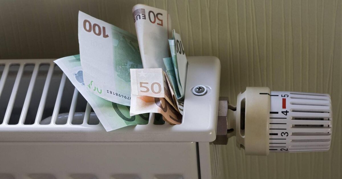 Electricity providers opposed extending disconnection moratorium