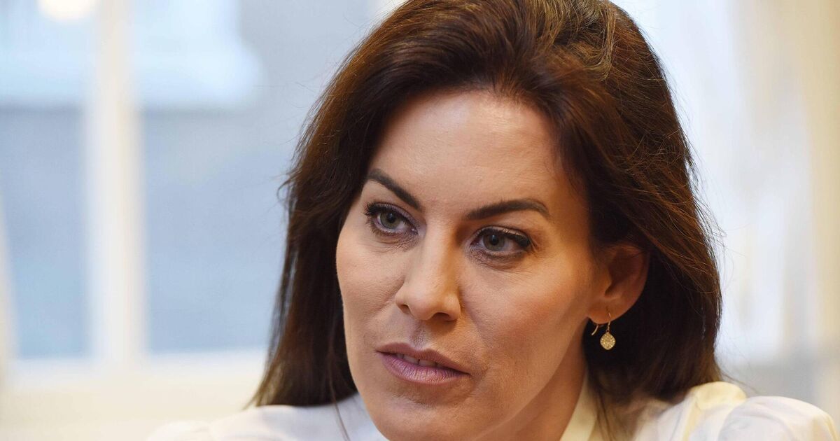 Government to help fund extra security measures for politicians