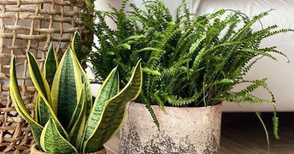 Five fast and fun ideas to add zing to your life and living space
