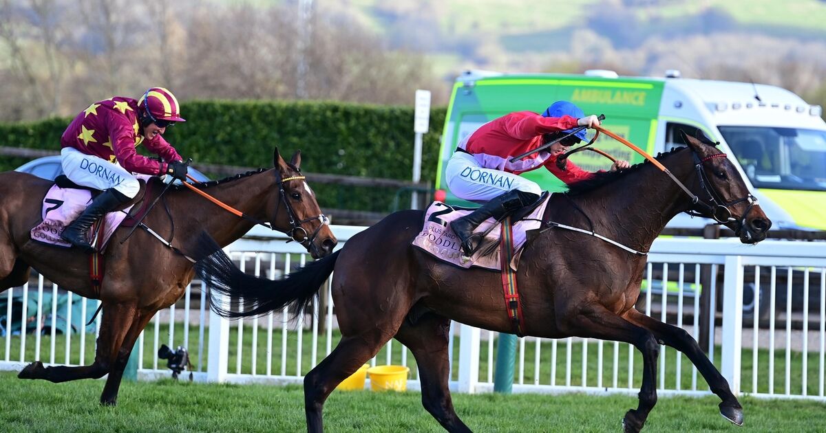 Irish tips: Minella Indo should prove a tough nut to crack on Tramore ...