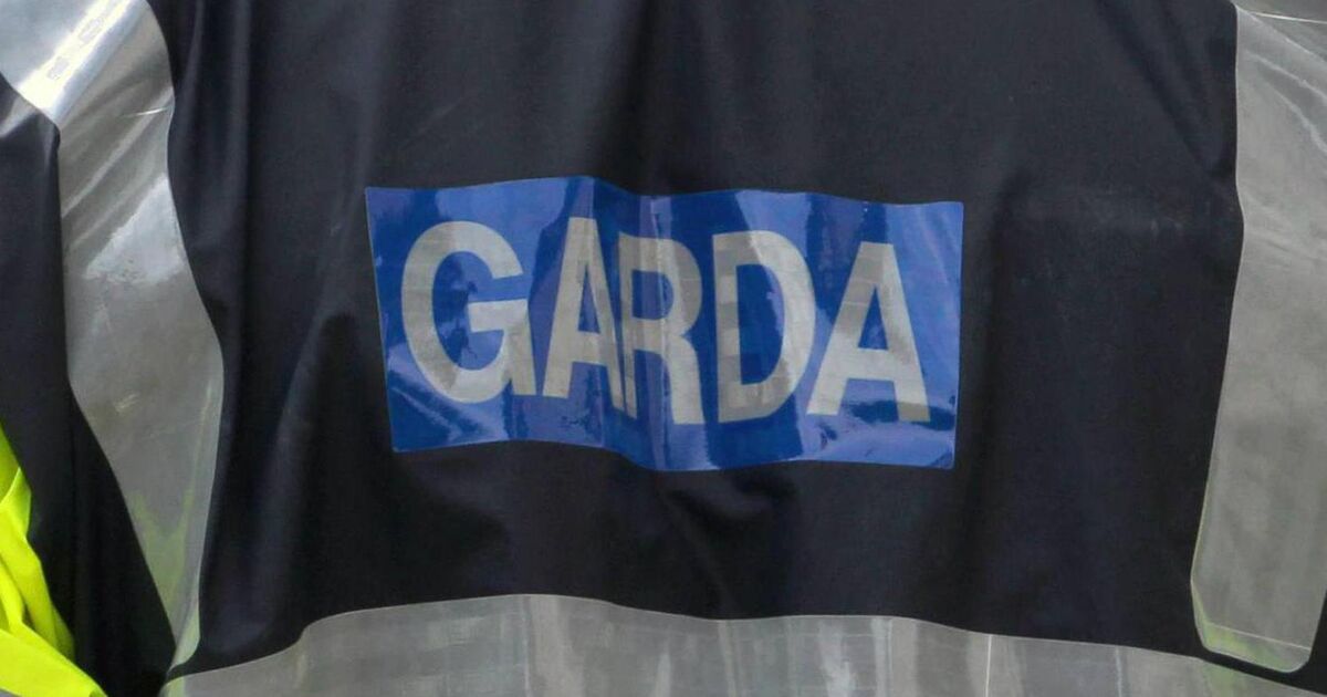 New €21.5m Garda helicopter and plane to fight crime and aid searches
