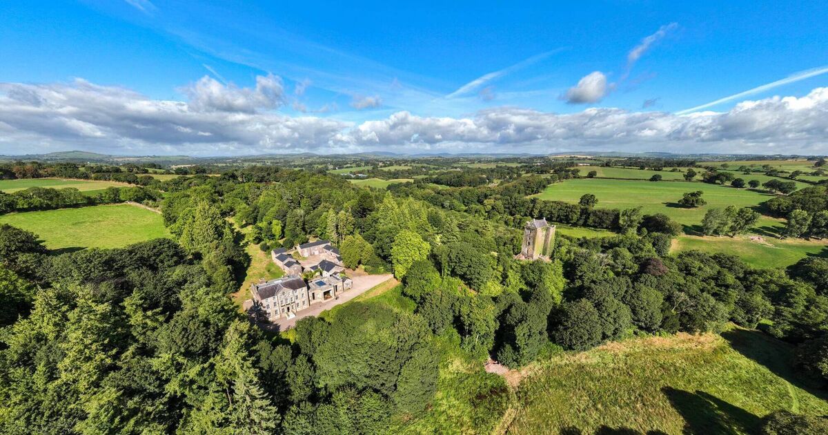 Dollars were the big bucks buyers in Irish country homes 2022, but the ...