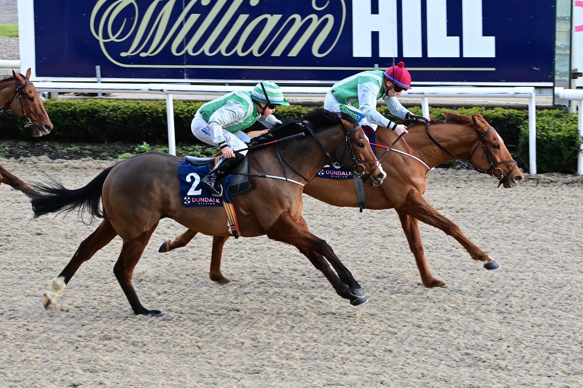 Mehman lands gamble for Ger O'Leary and Mark Enright