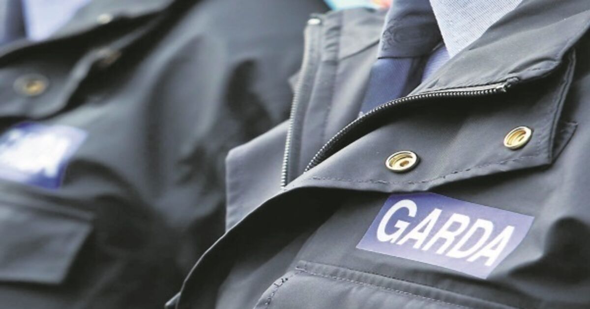 Revamp of top Garda units
