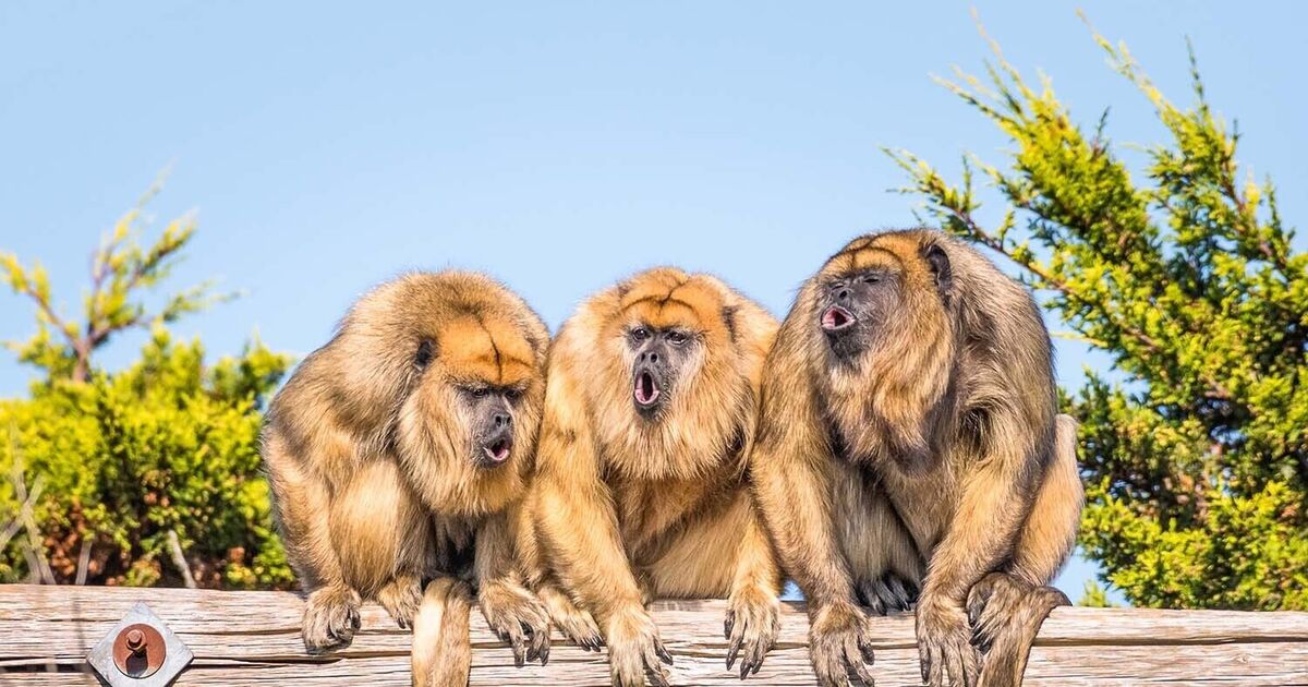 Irish Examiner Readers Photography Competition Winners 2022