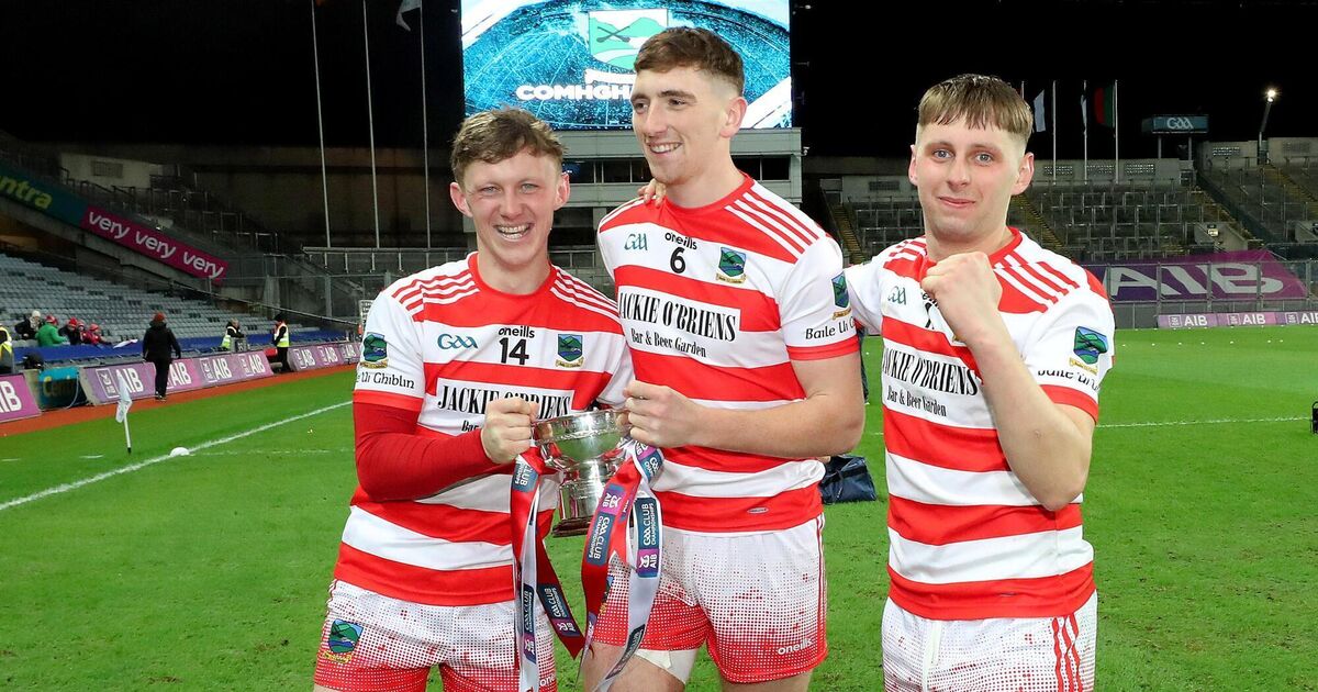 'What a day!' - Ballygiblin's Joseph O'Sullivan on career-defining win