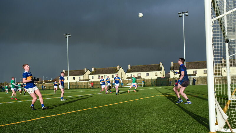 Ray Dempsey: Limerick rewarded for their 'great heart'