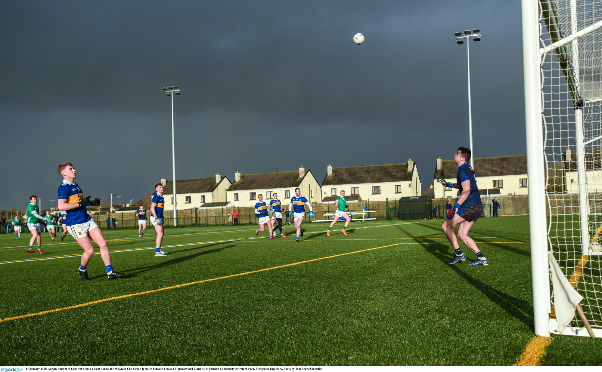 Ray Dempsey: Limerick rewarded for their 'great heart'