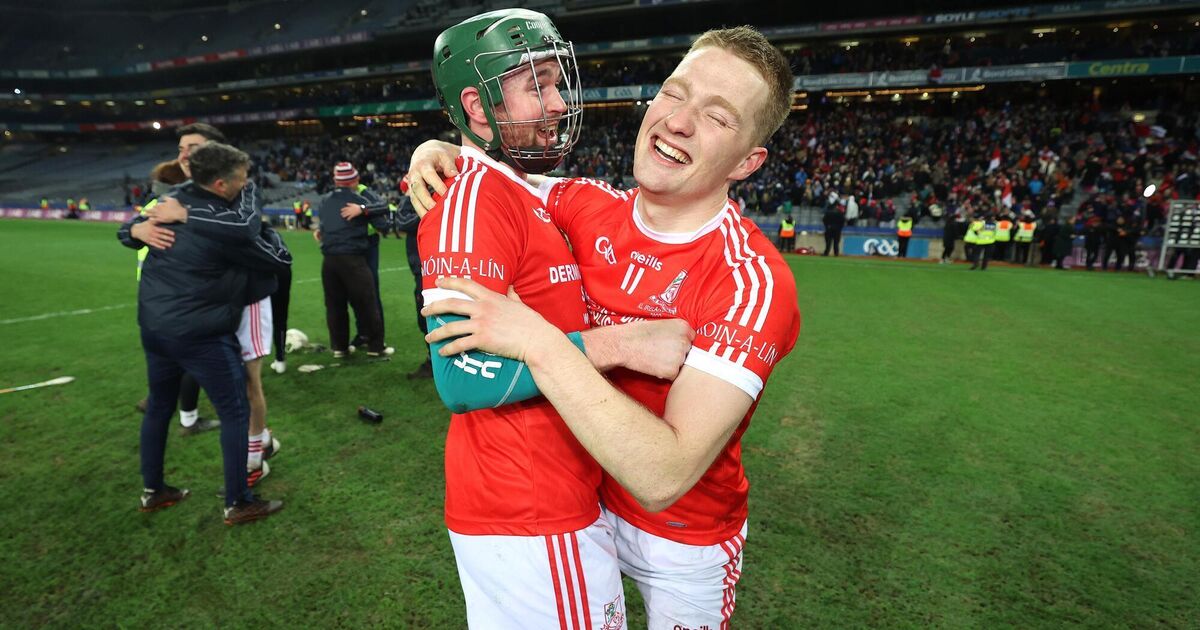 Donnacha Ó Dálaigh the difference as mighty Monaleen outlast Tooreen