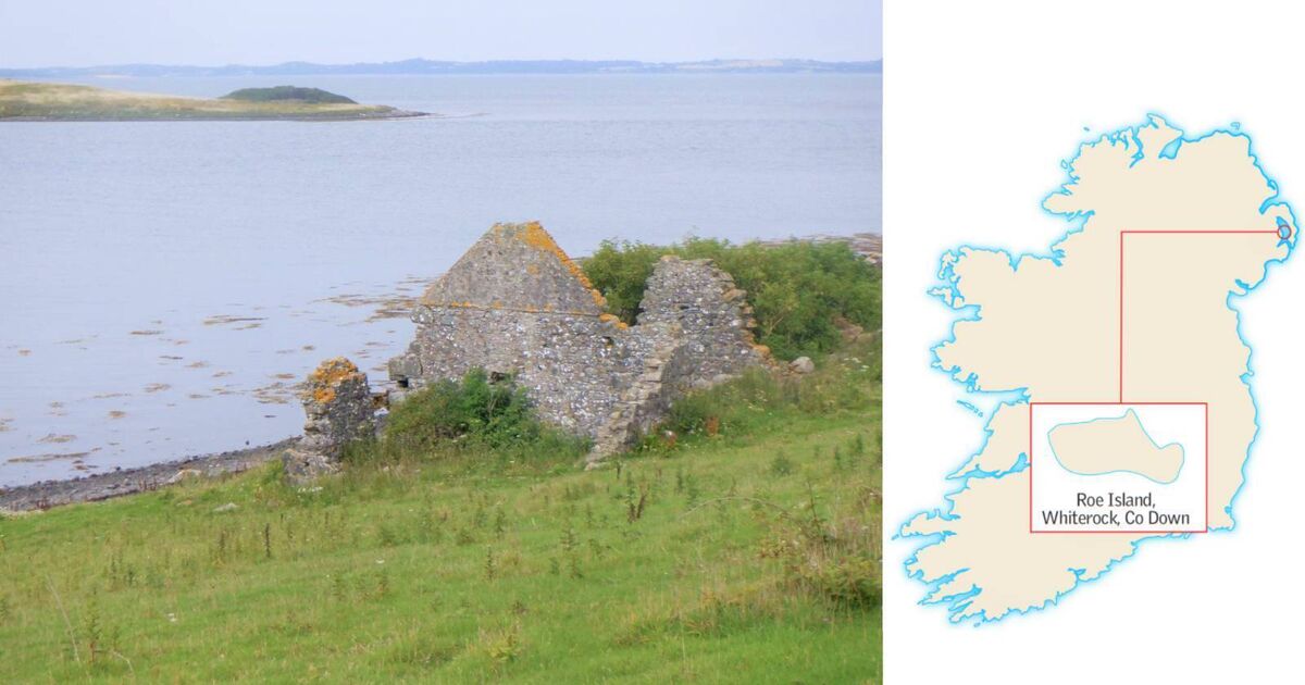 Islands of Ireland: Avoid Roe Island in spring so you don't disturb ...