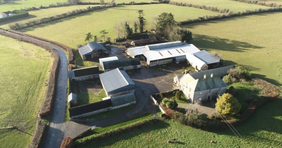 Quality Wexford farm expected to fetch over €3m
