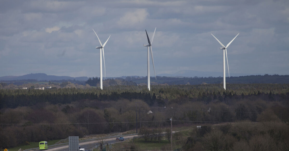 Cabinet didn't sign off Coillte deal with UK venture fund