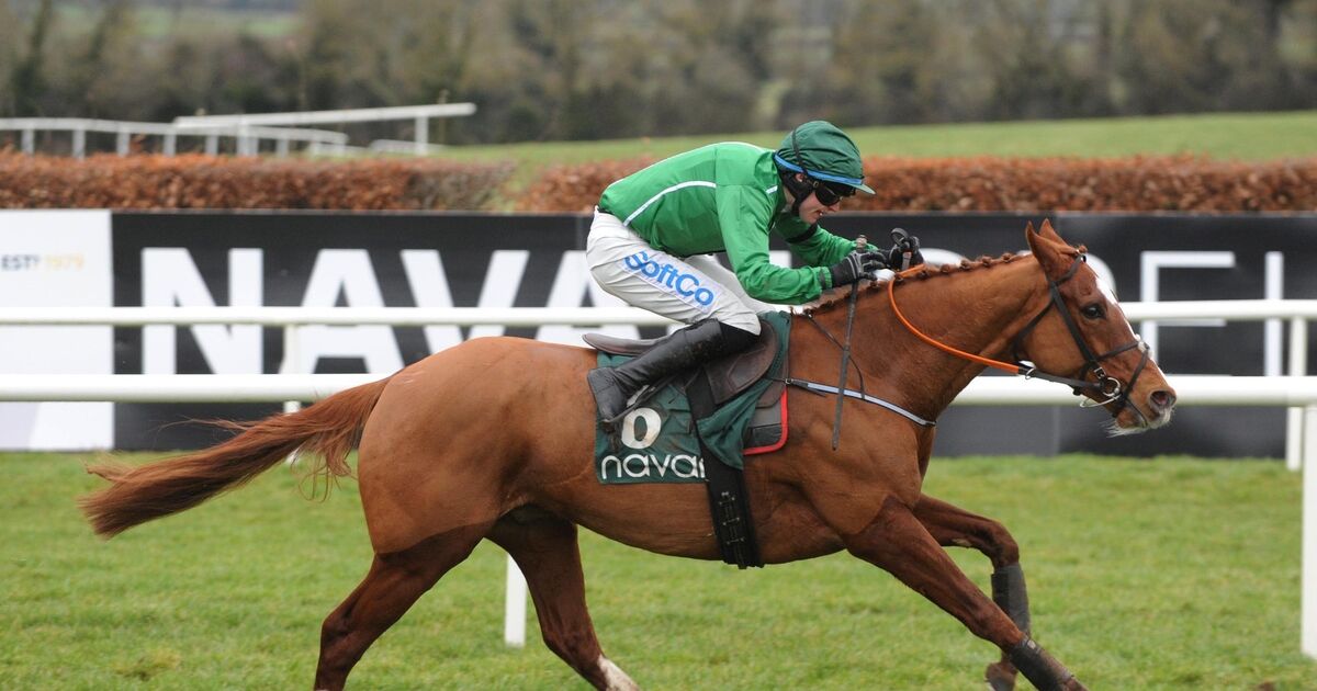 No anchoring impressive Seahorse at Navan