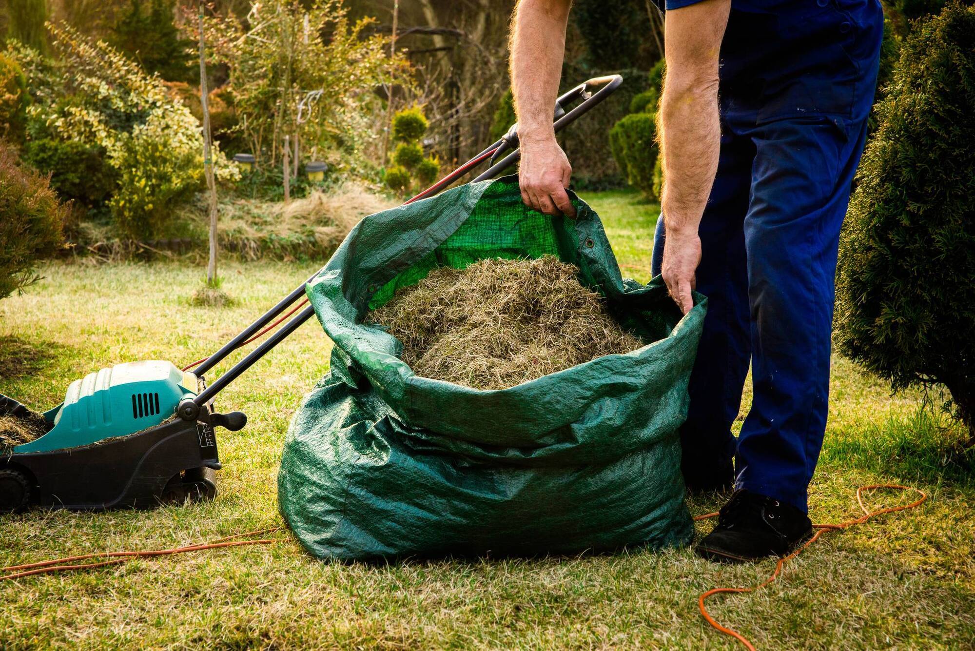 Garden Q&A: What time of year is best to scarify my lawn?