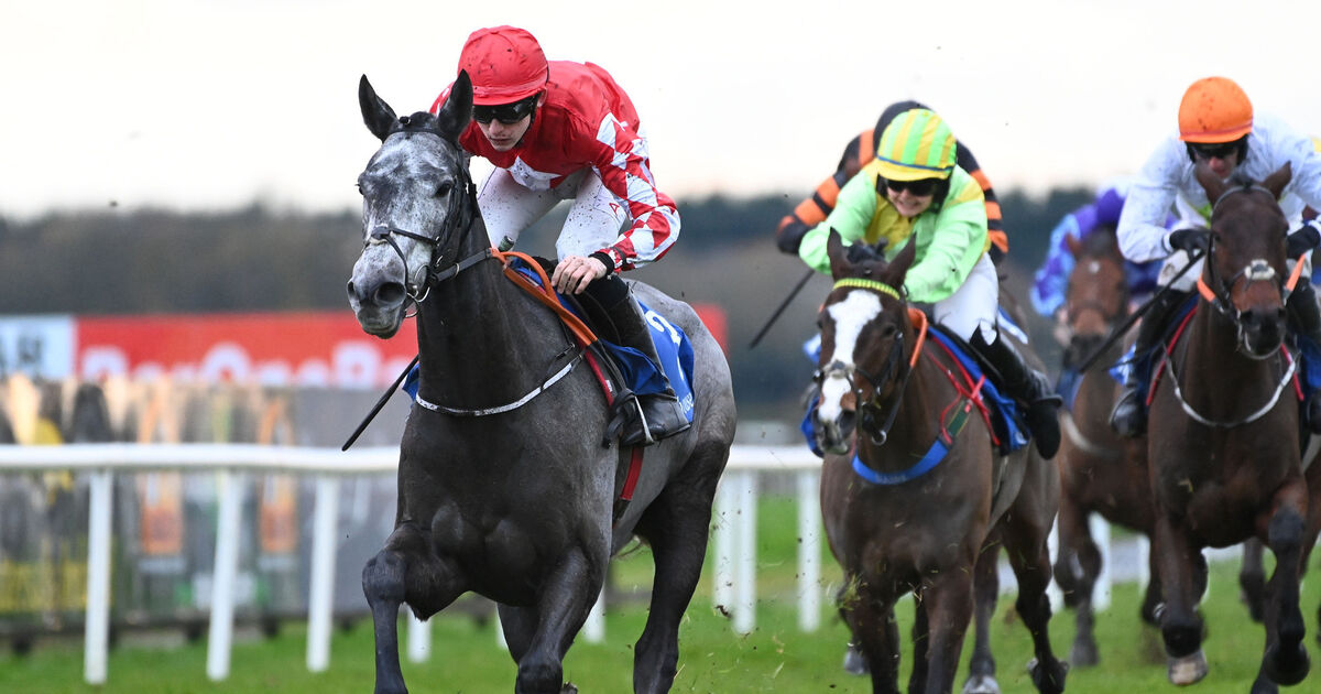 Down Royal tips: Kings Halo can reign supreme for James Dullea