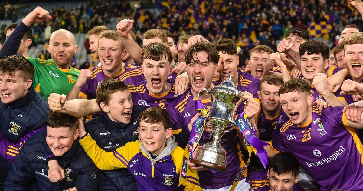 Trying to make sense of the GAA rulebook