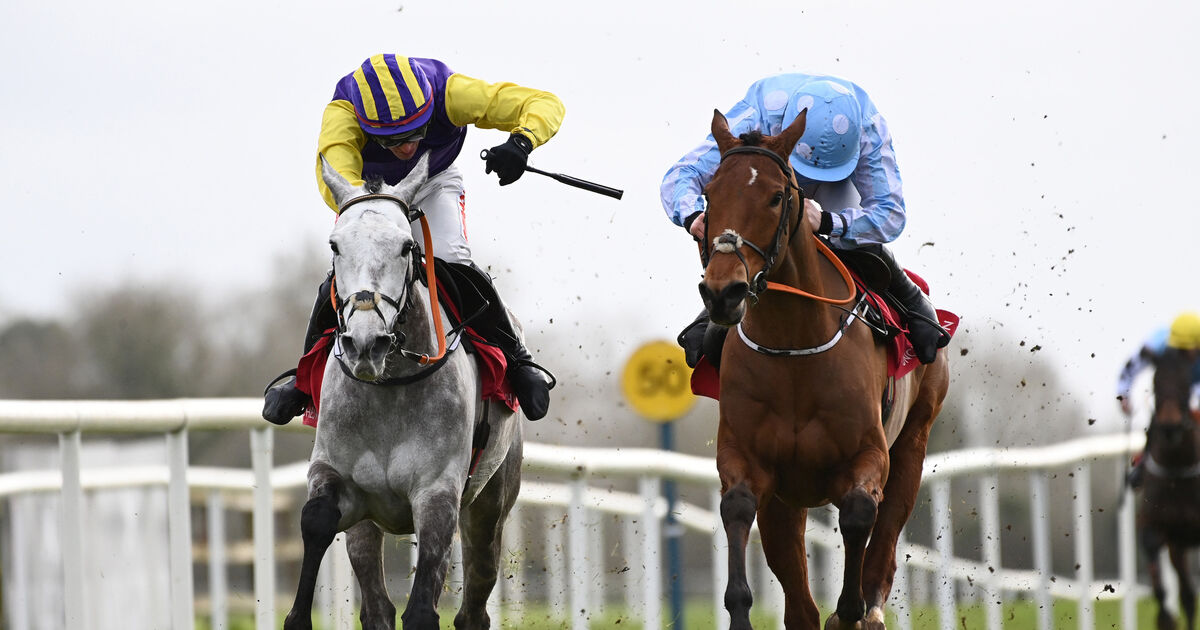 Princess Zoe dead-heats on jumping debut at Punchestown