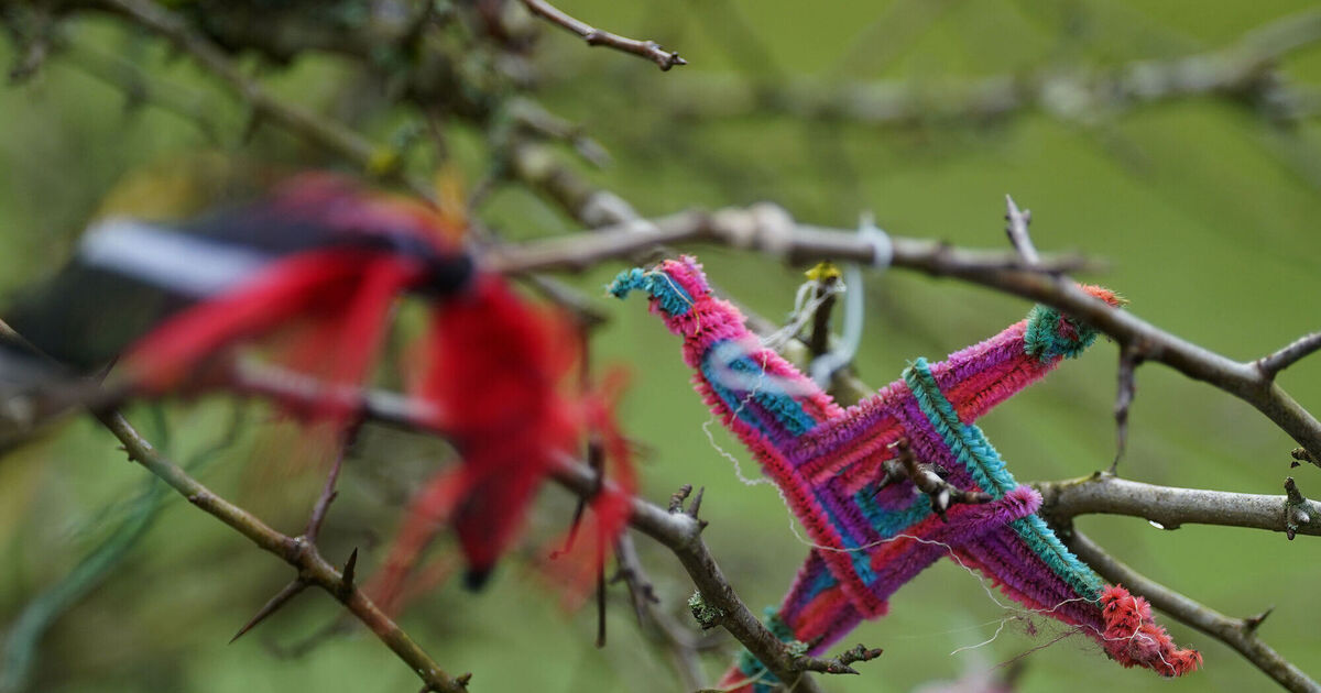 The great debate: When does spring officially start, February 1 or March 1?