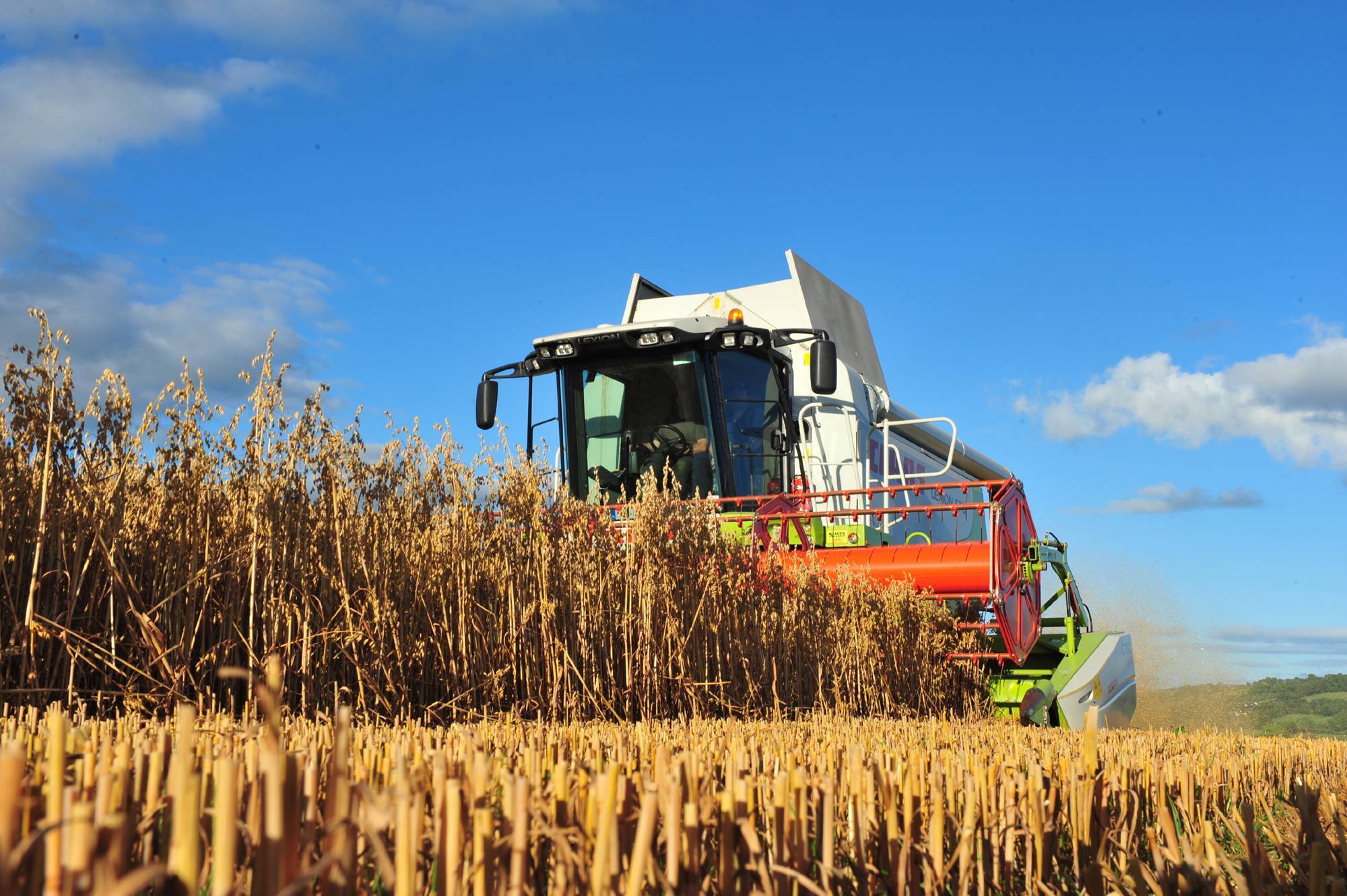 Tirlán to double acreage of gluten-free oat crops sown this spring