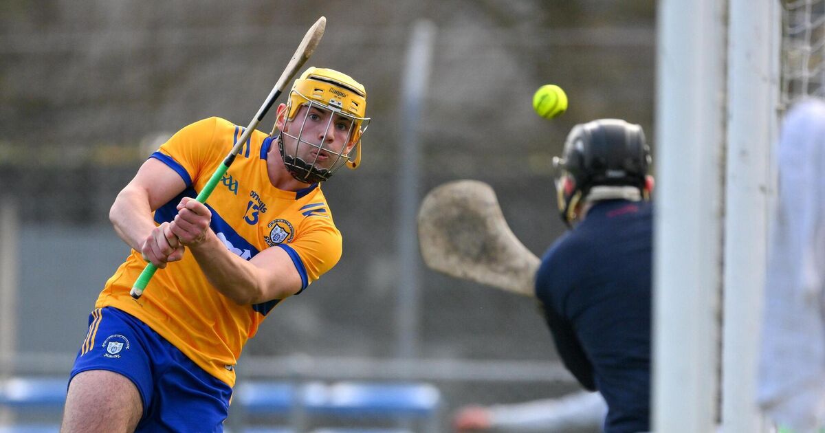 Mark Rodgers double leads Clare to comfortable win over Westmeath
