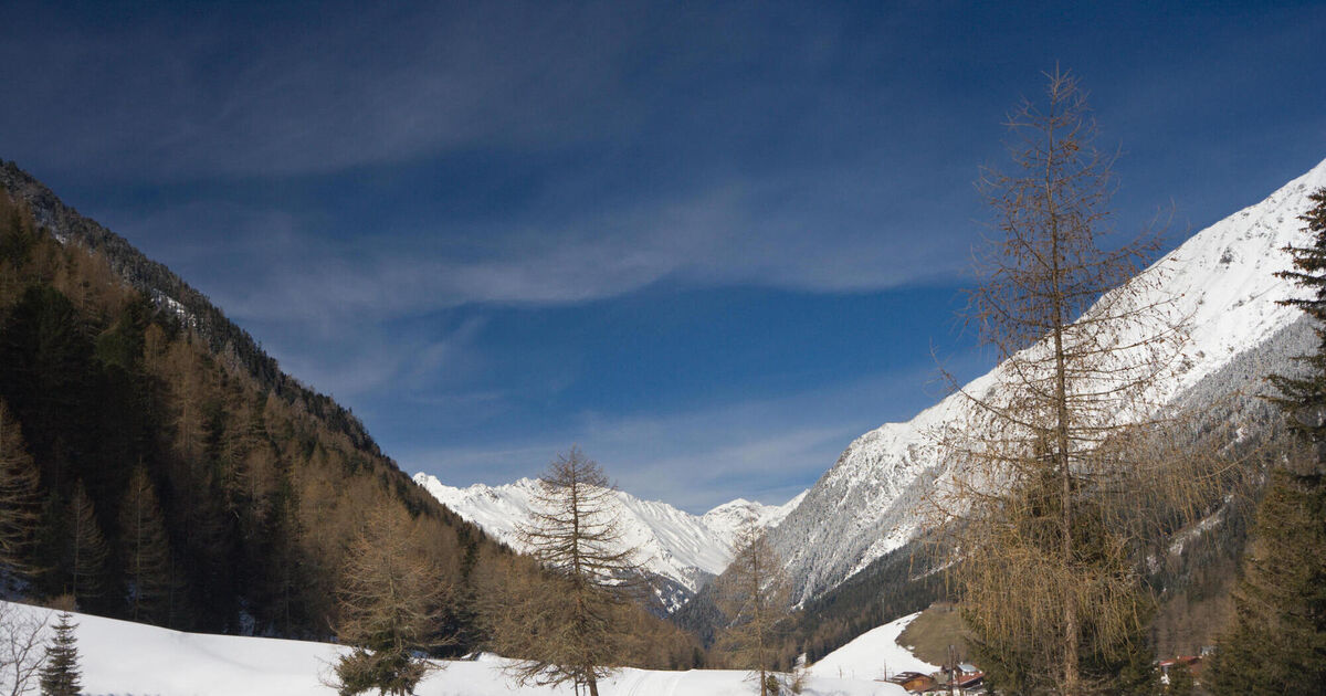 Avalanches kill nine in Italy and Austria as heavy snow hits Alps