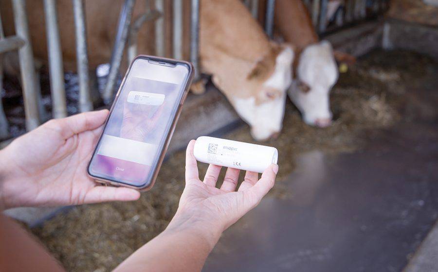 Farm View: Why new agtech developments mean cows no longer have secrets