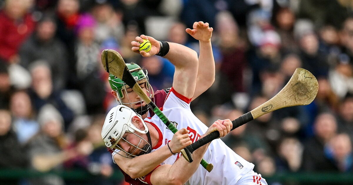 Ryan: Dalton 'has a point to prove’ after 2022 panel omission