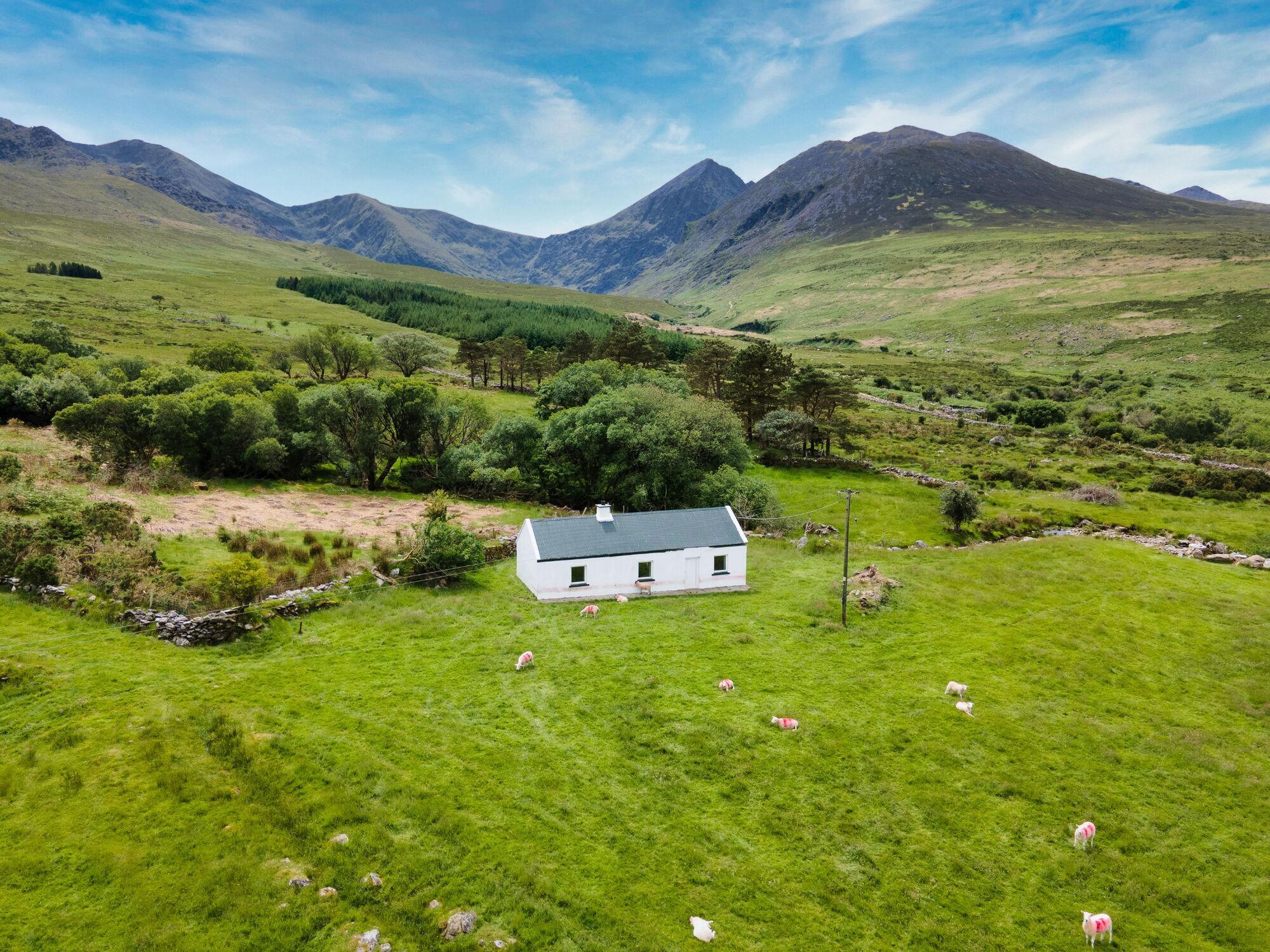 Killarney auction ends with sale price of over €13k an acre