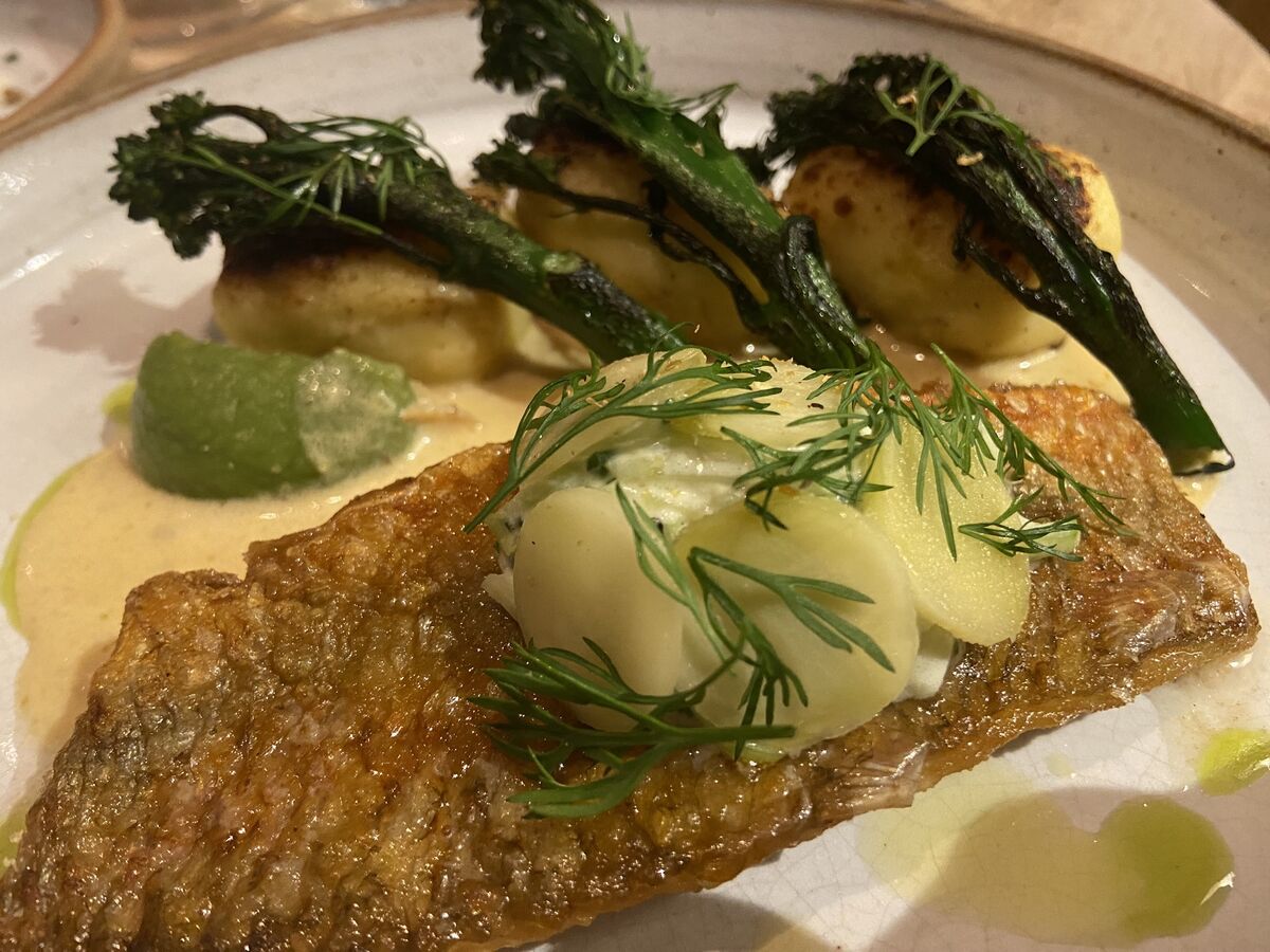 Restaurant review: The booked-solid Mae Restaurant in Ballsbridge was ...