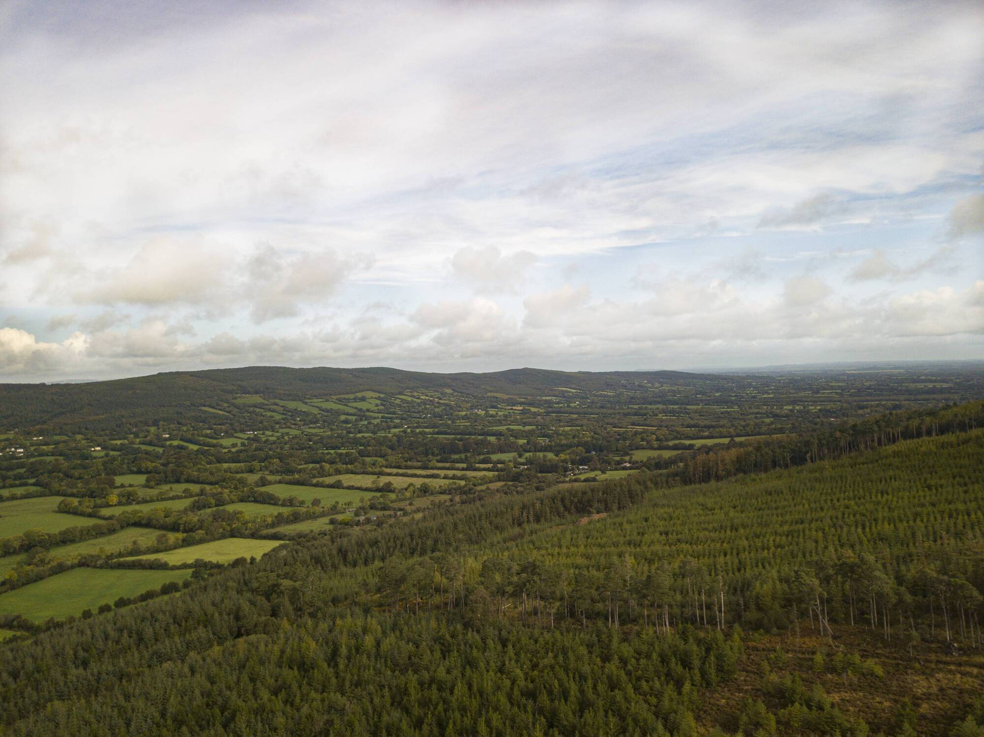 Over half of national forest estate in private ownership, mainly farmers