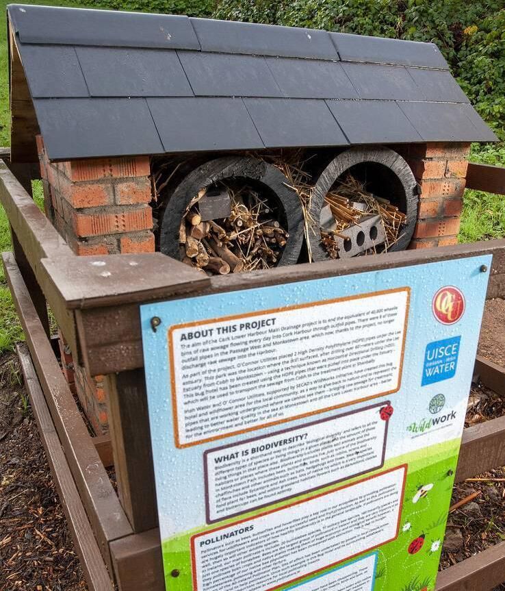 7 ways gardeners can help wildlife and make a difference