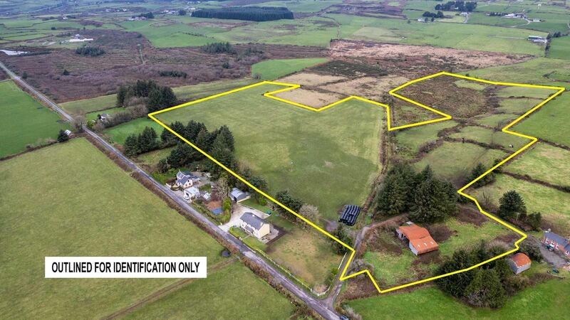 19-acre West Cork holding makes over €13k/acre at auction
