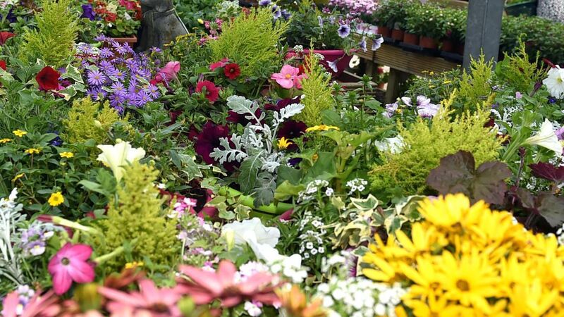 Garden Digest: Events to help you to enjoy your room outside