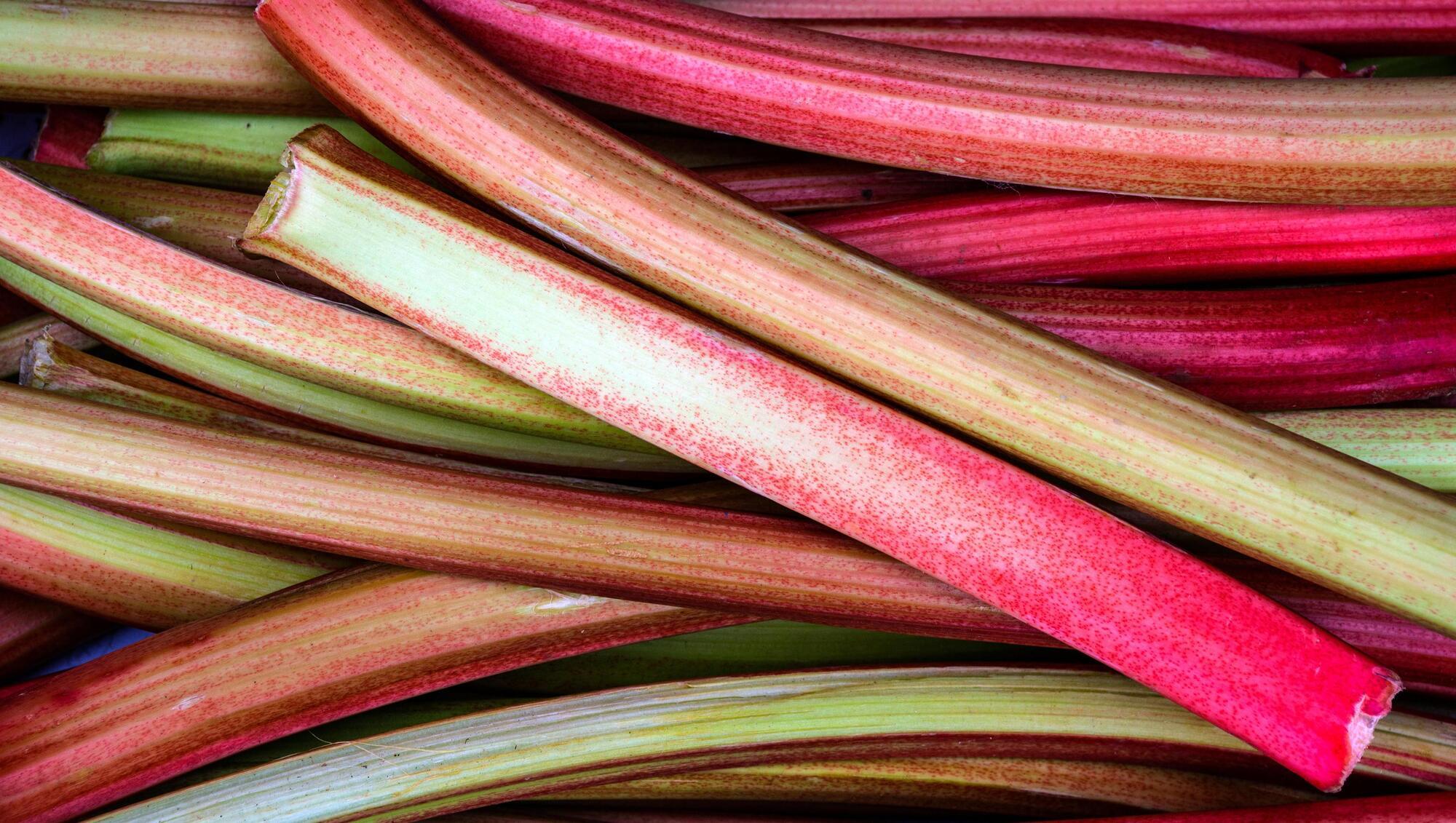 What's in Season? 5 sweet ways to use up rhubarb in March