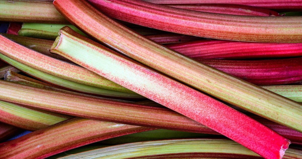 What's in Season? 5 sweet ways to use up rhubarb in March