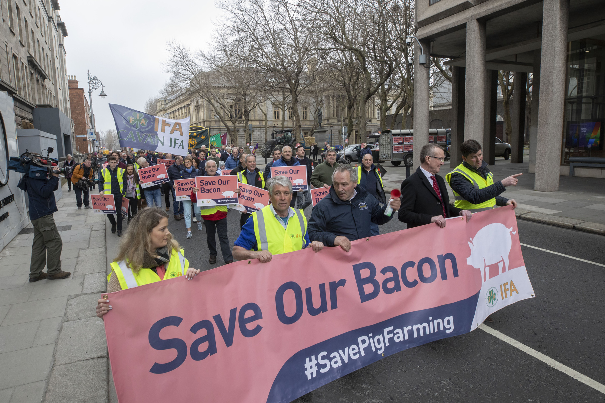 Irish breeding pig numbers fall to lowest since '88