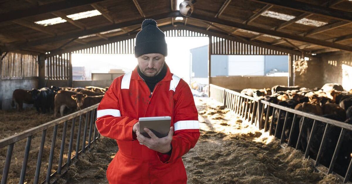 Brian Reidy: Decisions with advanced stock? 7 tips to finish more ...