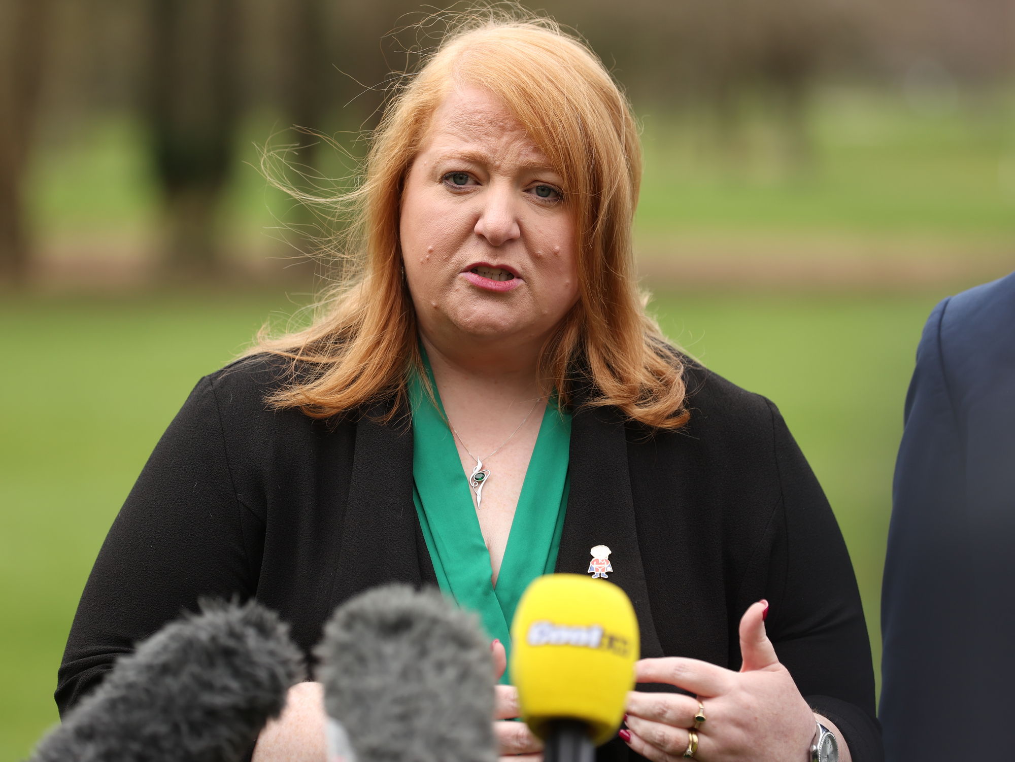 Irish Examiner view: Could Alliance get its day soon?