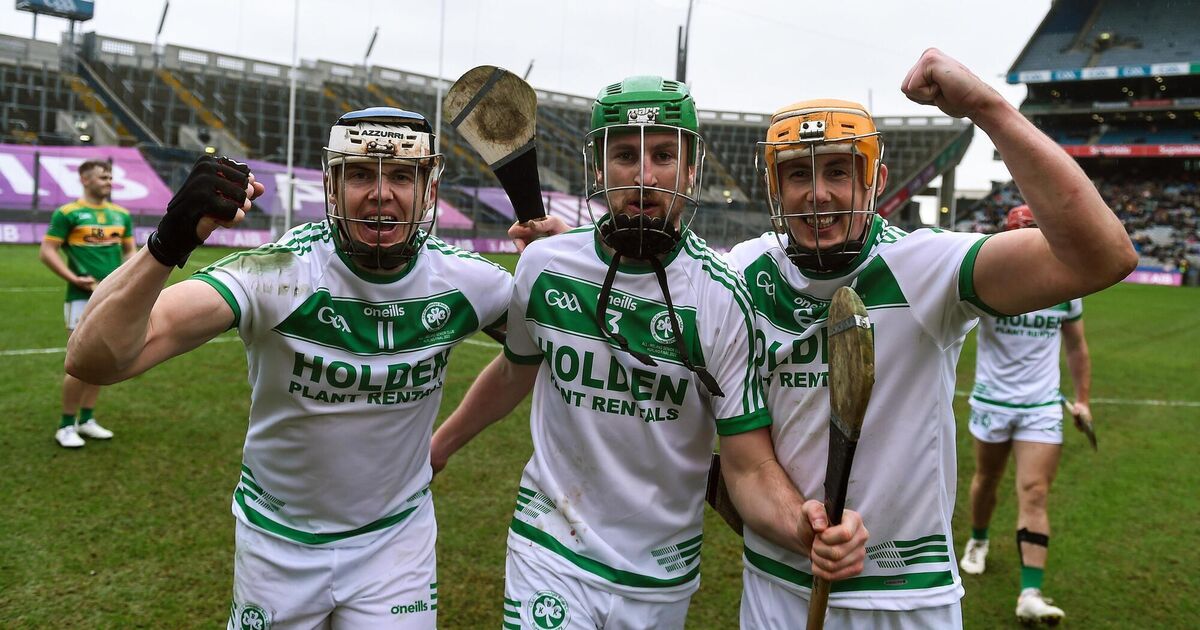 Eight Ballyhale stars named on club team of the year