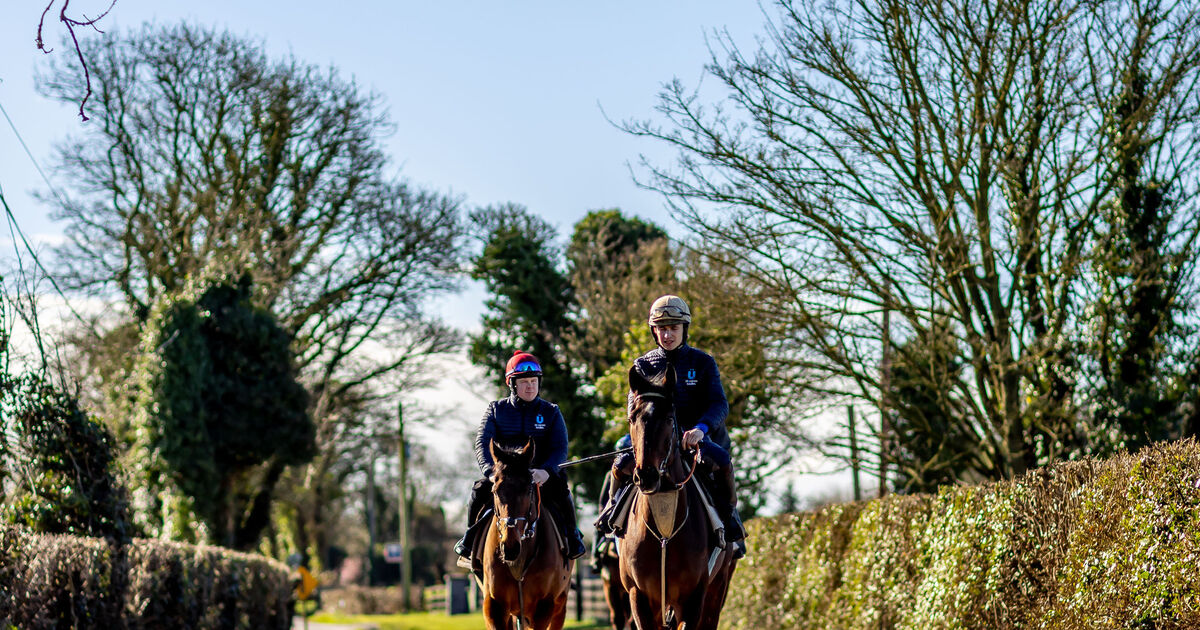 Irish National bid not ruled out for Lord Lariat