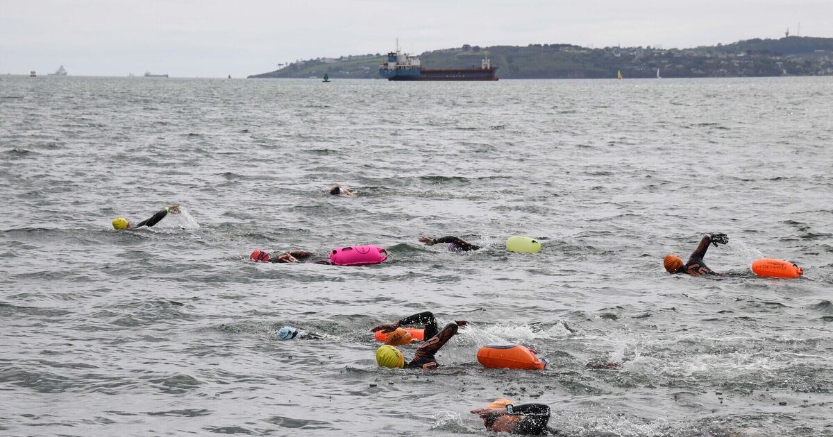 Water quality to be monitored at popular Cork swimming spots