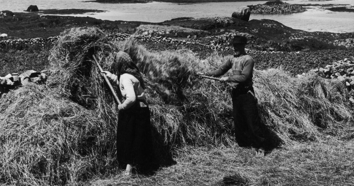 Remembering Ireland's forgotten farming women