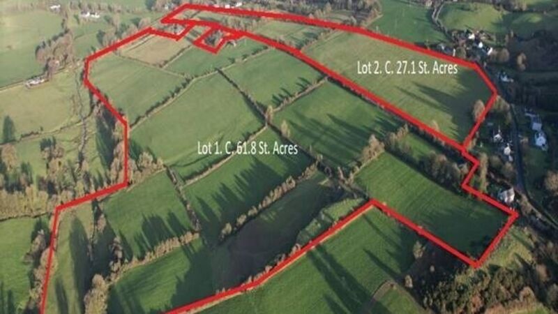 89-acre Golden Vale farm achieves almost €16k/acre at auction