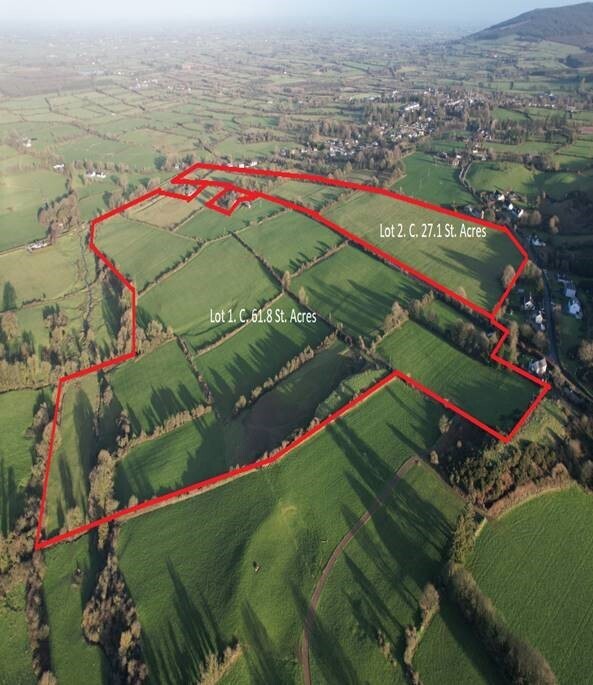 89-acre Golden Vale farm achieves almost €16k/acre at auction